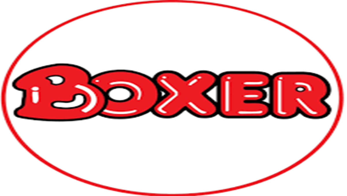 Boxer Superstores Graduates Internships | Board Opportunities