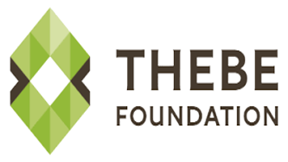 Thebe Foundation Bursaries 2025 | Board Opportunities